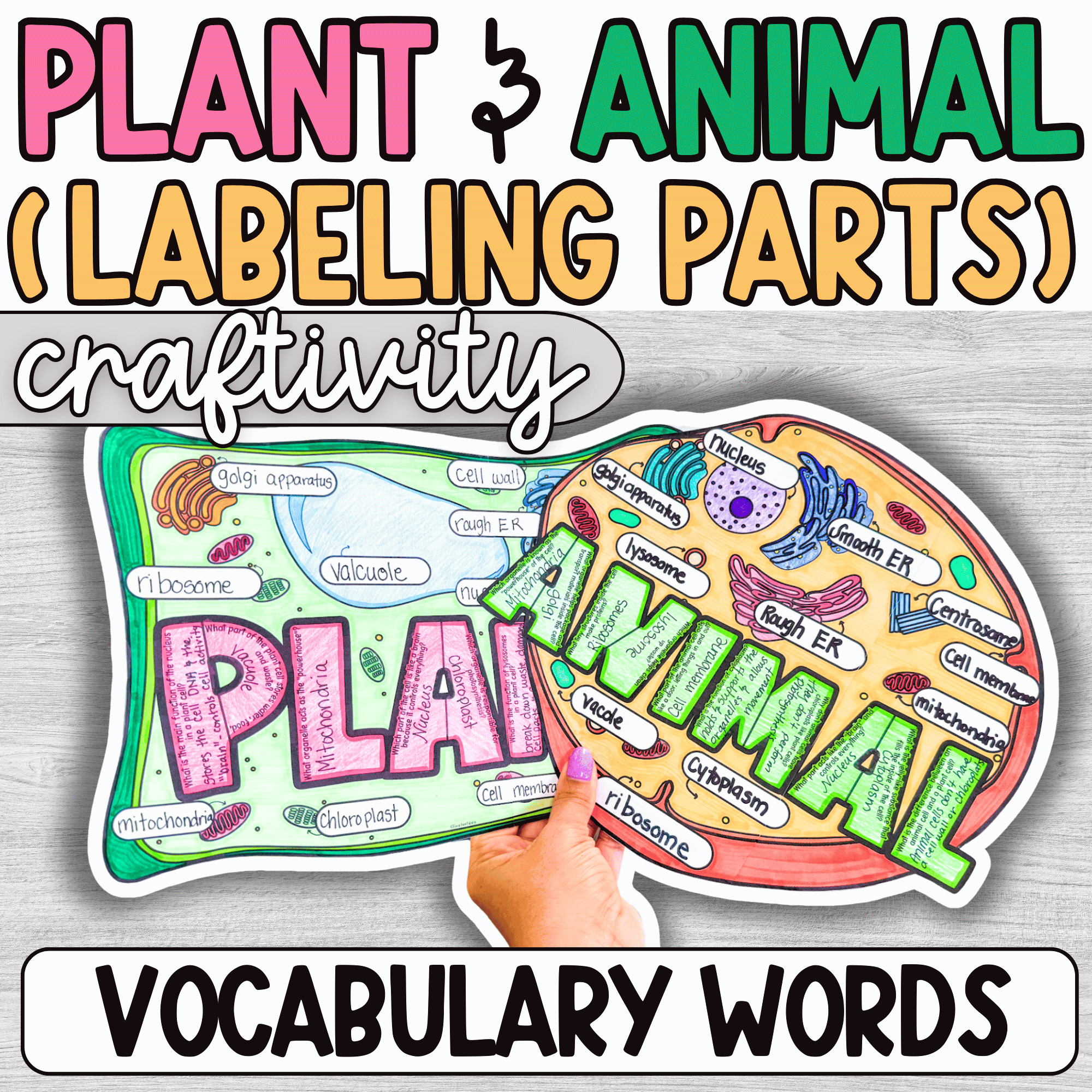 Plant and Animal Cells Bundle – Teacher Noire