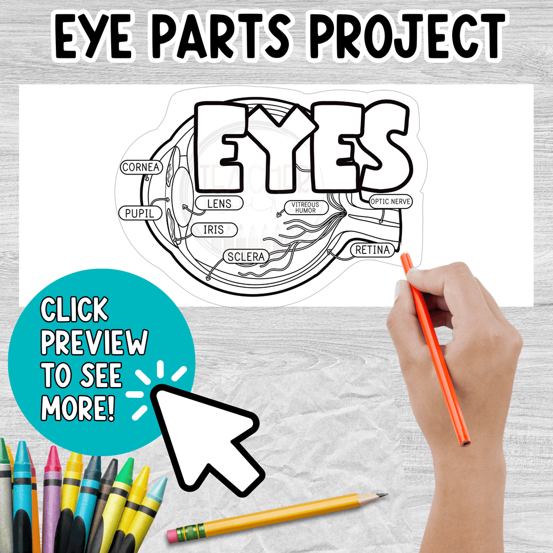 Parts of the Eye Diagram – Teacher Noire